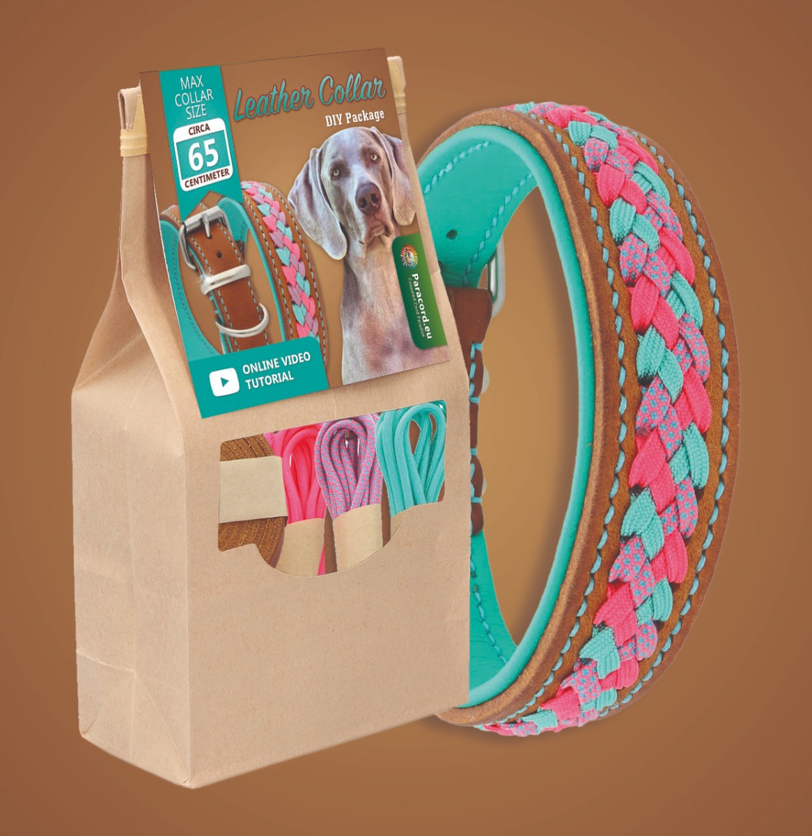 DIY Kit ''Aurora'' - Leather Collar With Paracord